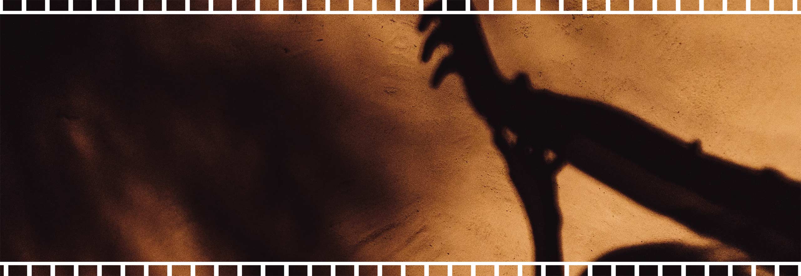 Film Festival – RED FOX Productions